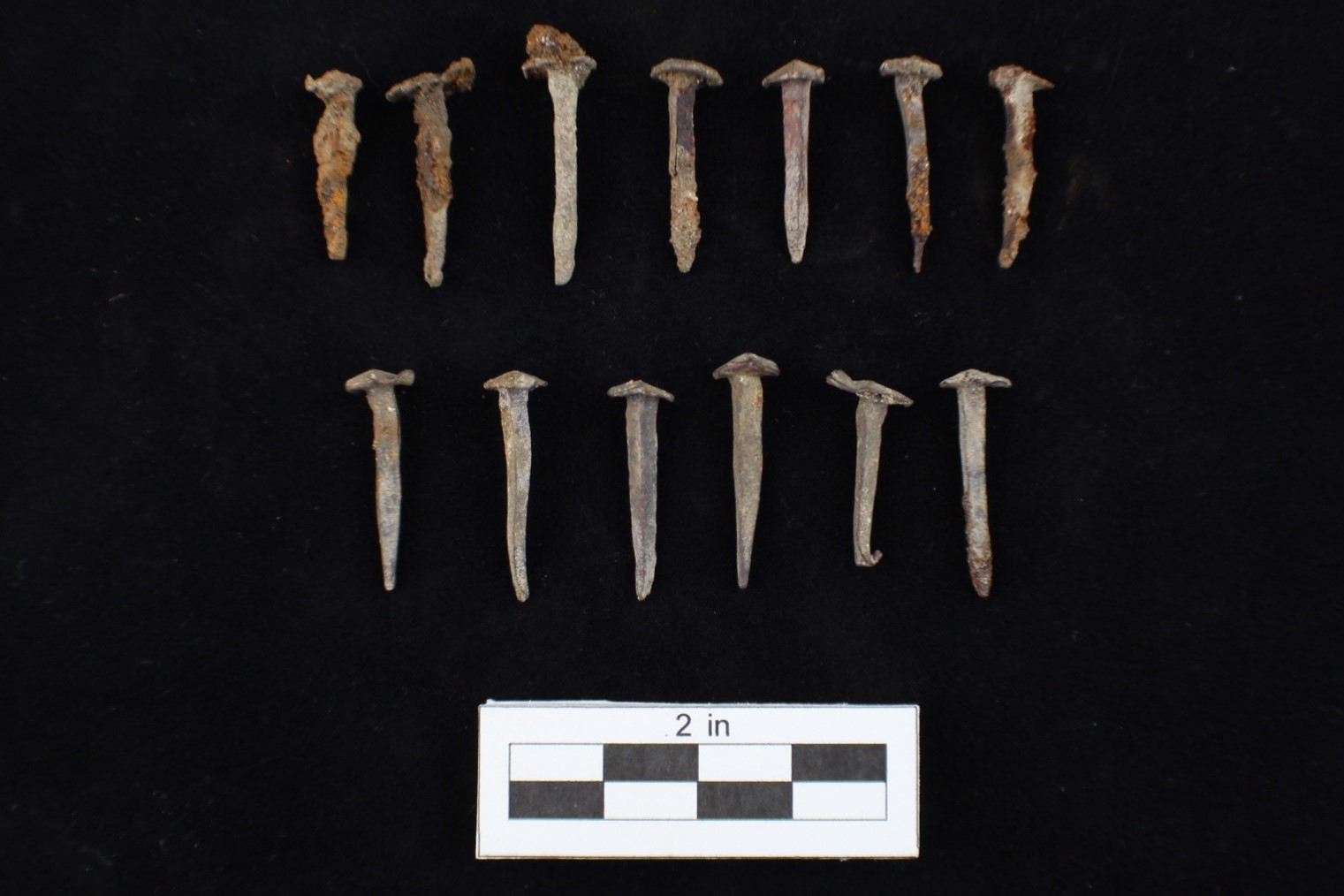 Artifacts of the Day: Nails! – The Herring Run Archaeology Project